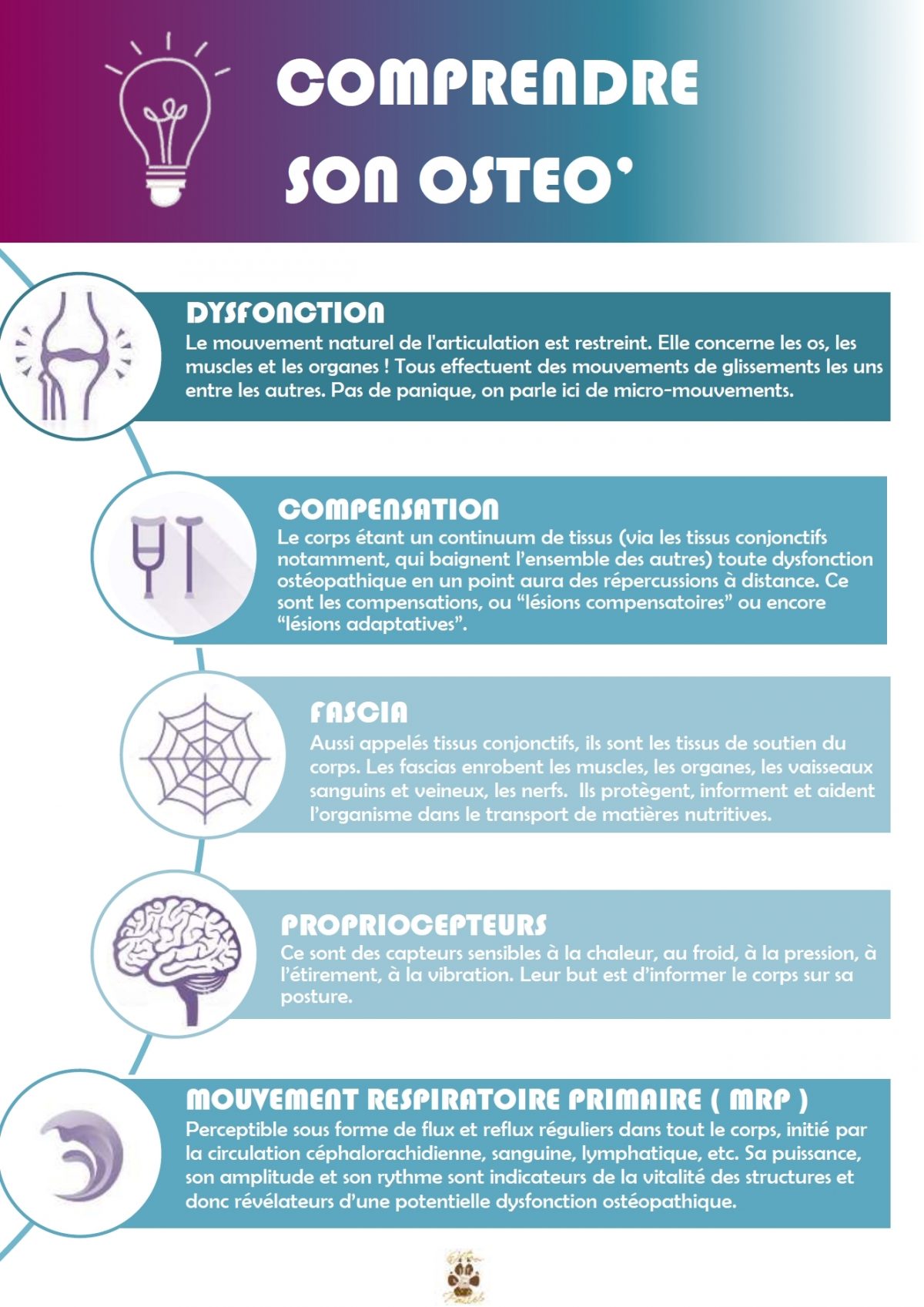 Comprendre son ostéopathe – Animal Ostéo